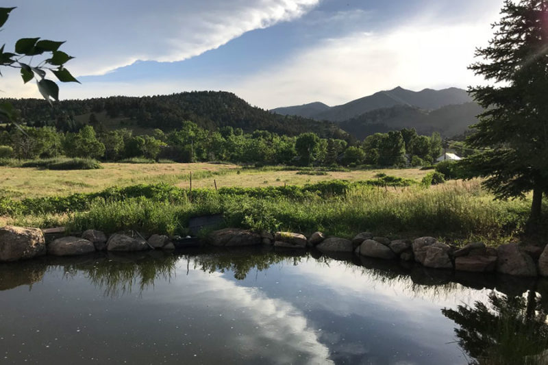 About Us • The Greenbriar Inn