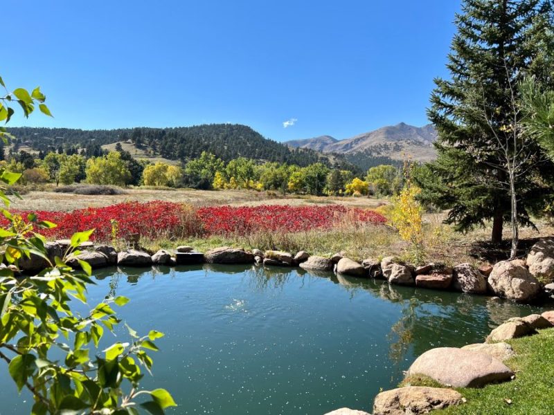 About Us • The Greenbriar Inn